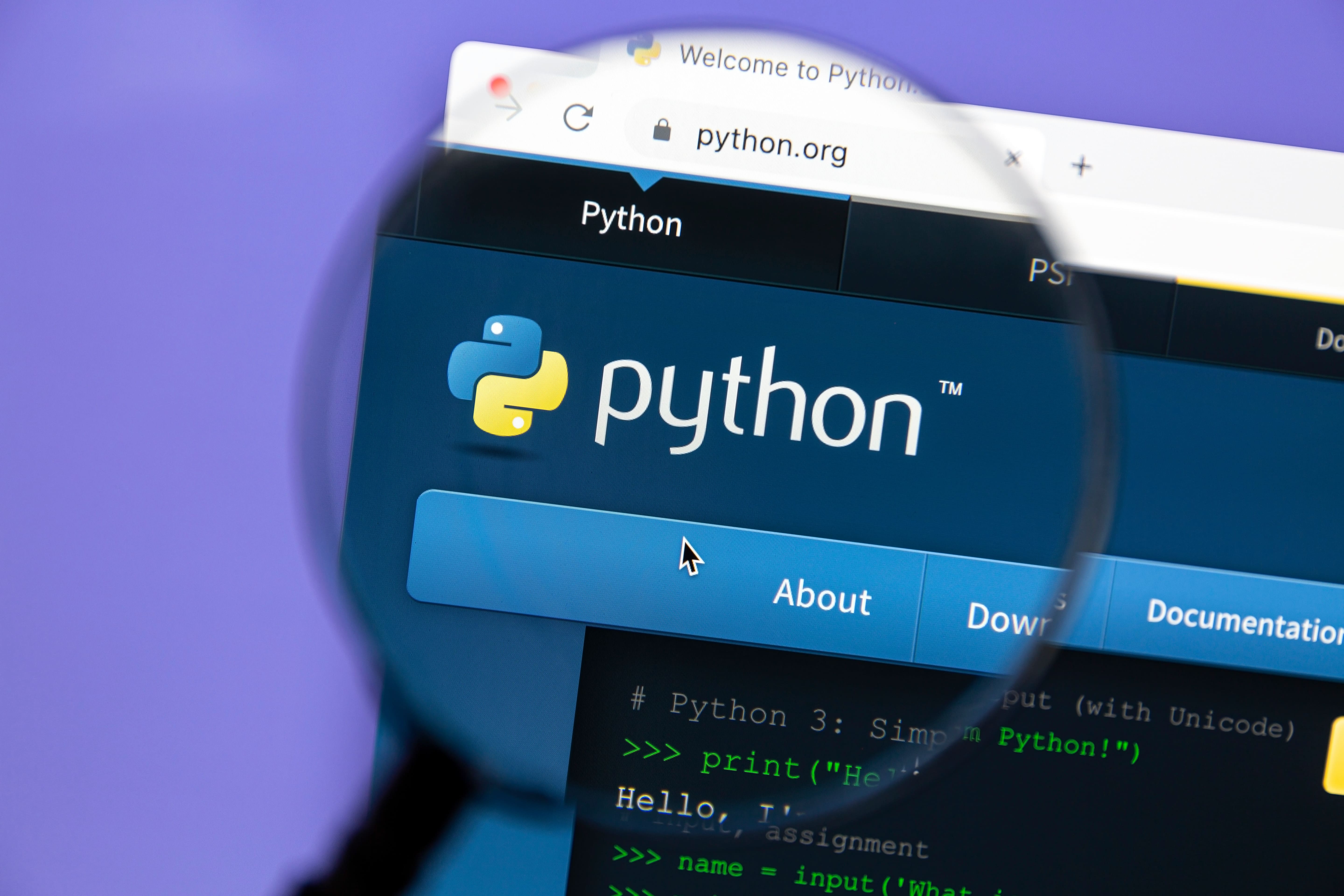 4 raisons convaincantes de se former au langage de programmation python ...