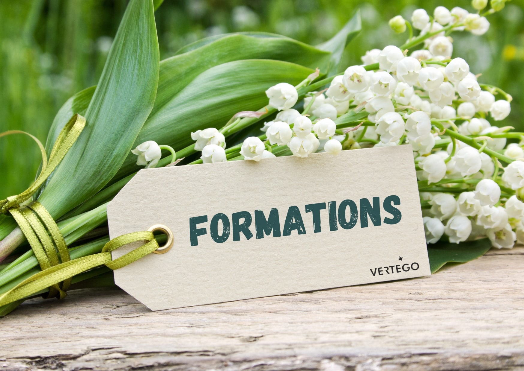 Les formations du mois de mai ! - vertego